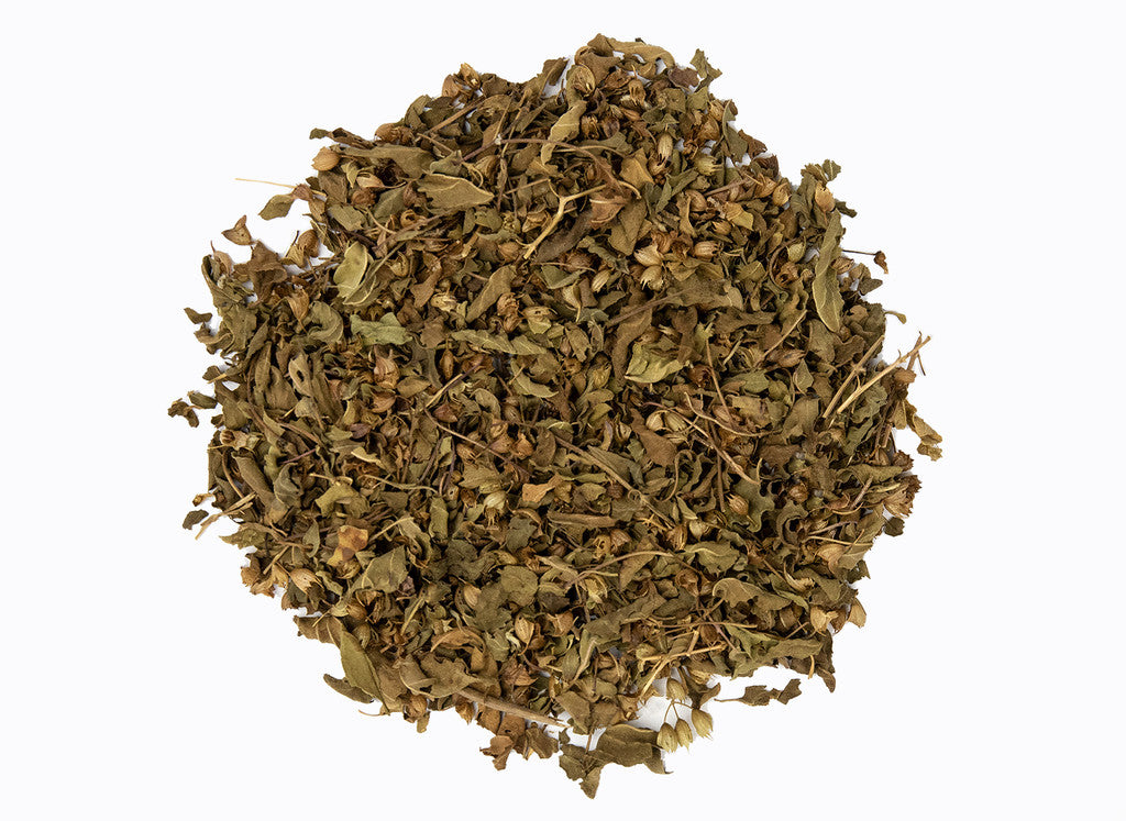Holy Basil, Rama – Spirit of the Herbs